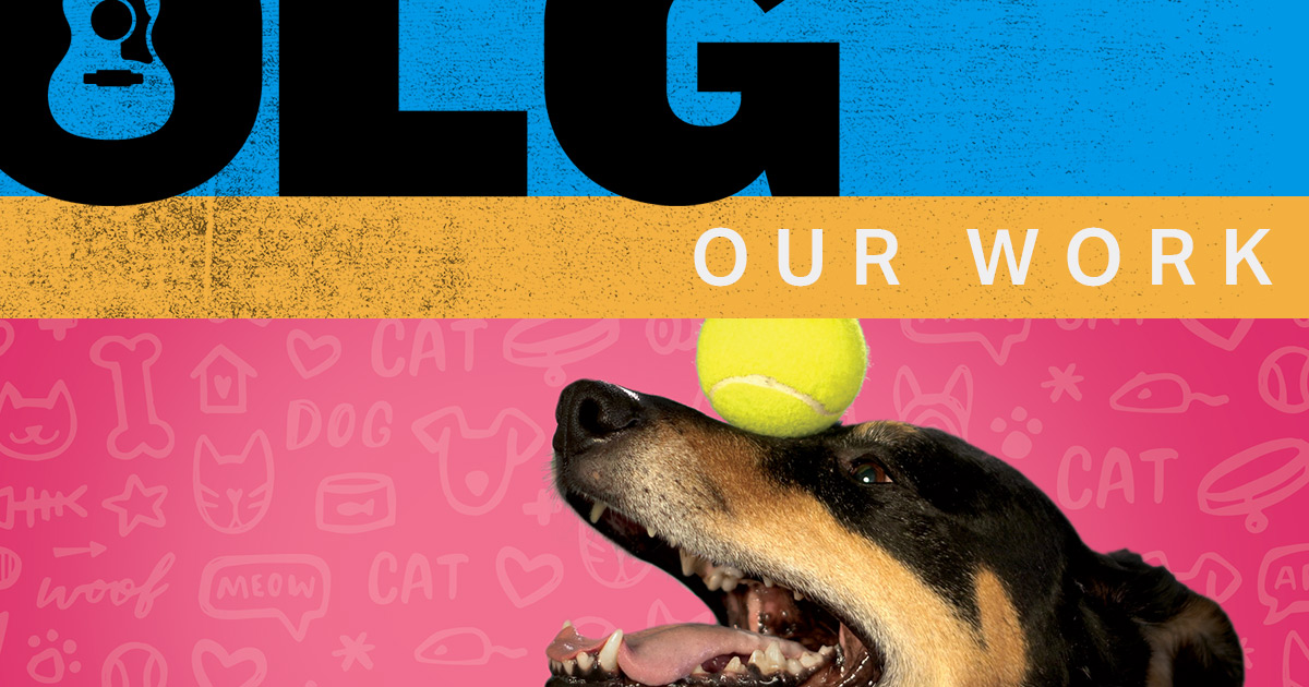 Humane Fort Wayne - One Lucky Guitar